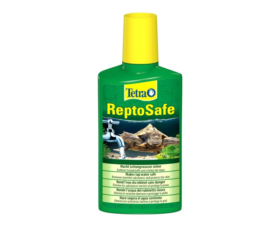 Tetra: Nutrición y Cuidado Profesional para Peces